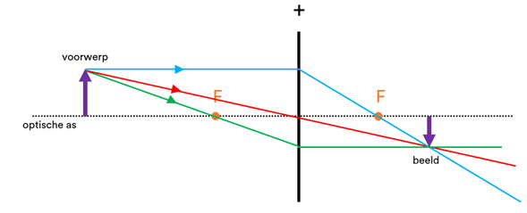Vergrotingsfactor opmeten oefenen | StudyGo