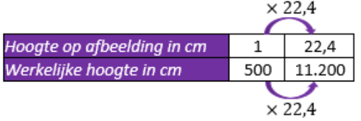 Schaal berekenen oefenen | StudyGo