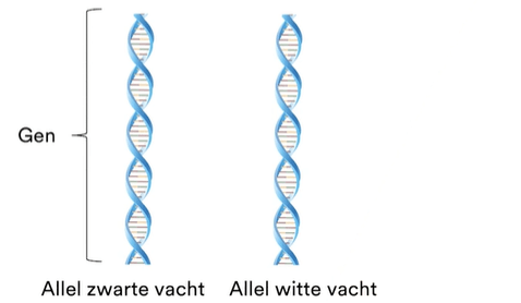 Eigenschappen doorgeven oefenen | StudyGo