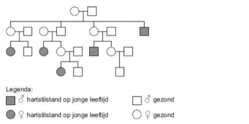 Samenvatting van Erfelijkheid en evolutie uit Nectar – 2/3 havo/vwo – 5 ...