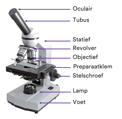 Samenvatting van Inleiding in de biologie uit Biologie voor jou / bvj ...