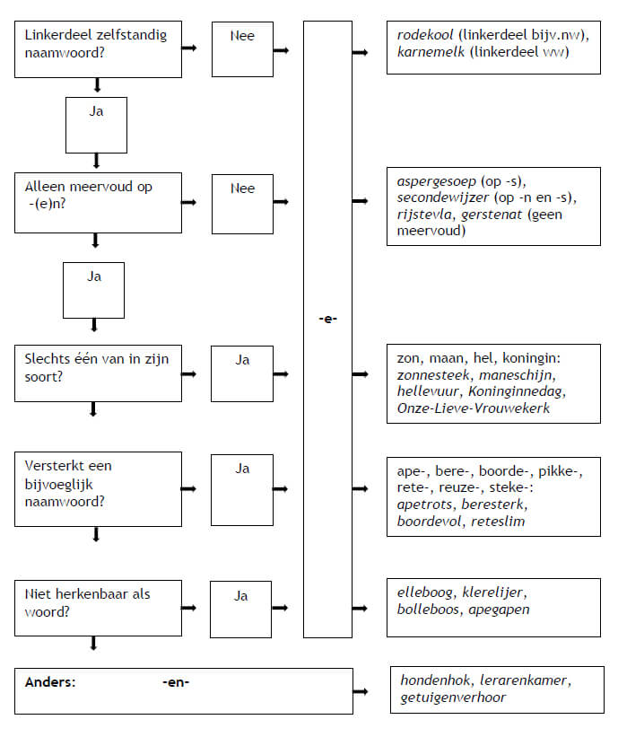 Tussenklank in samenstellingen oefenen | StudyGo