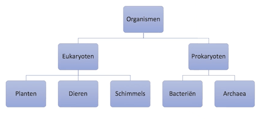 Samenvatting van Evolutie uit Biologie voor jou / bvj – 4 havo – 8 ...