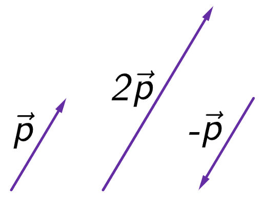 Samenvatting van Vectoren uit Moderne wiskunde – 4/5/6 vwo – 12 | StudyGo