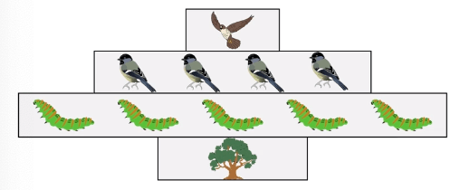 Samenvatting van Ecologie en milieu uit Biologie voor jou / bvj – 4 ...